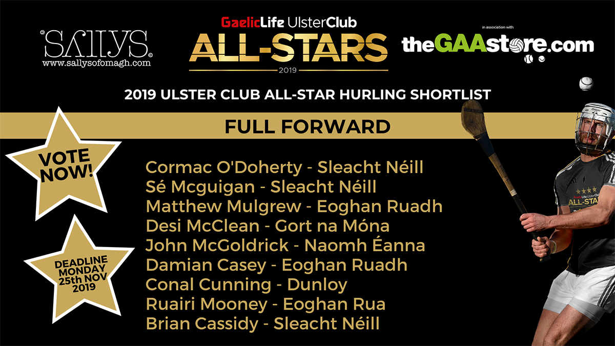 2019 Hurling - Full Forward - Gaelic Life
