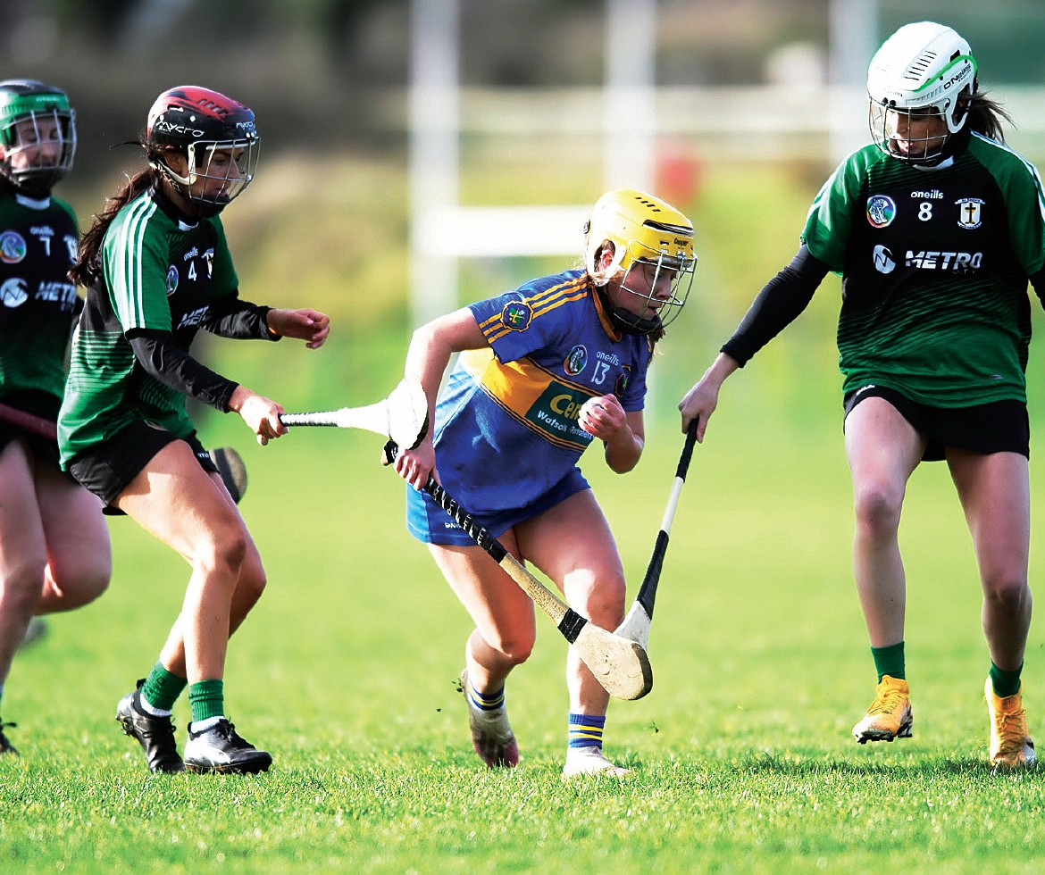Portaferry camógs excited to enter uncharted territory - Gaelic Life
