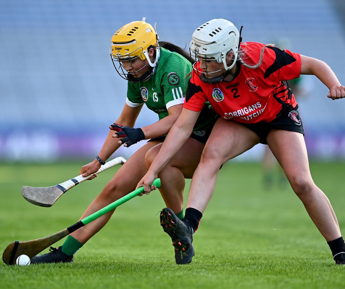 Change your club’s camogie DNA with MNA - Gaelic Life
