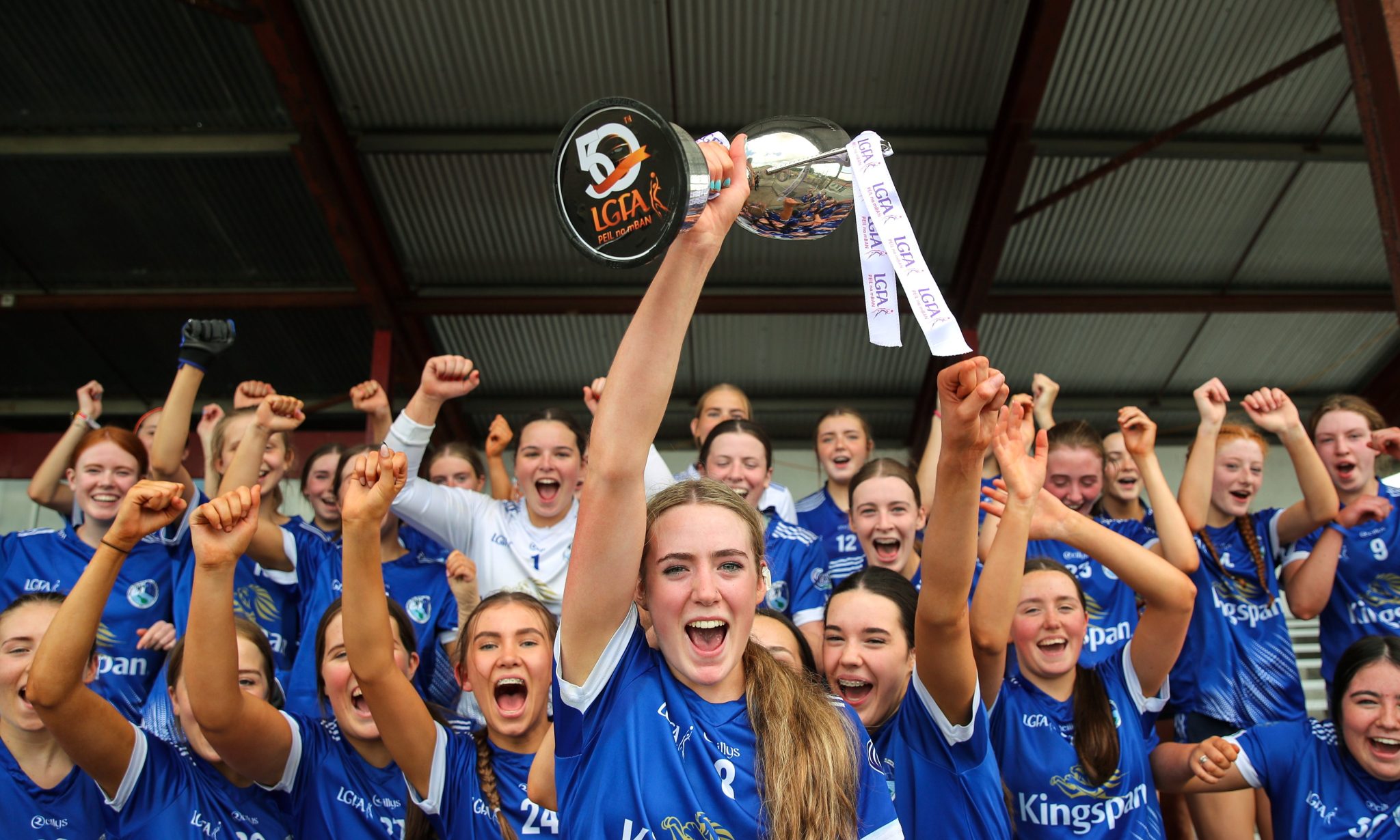 Bright start paves way for Cavan victory - Gaelic Life