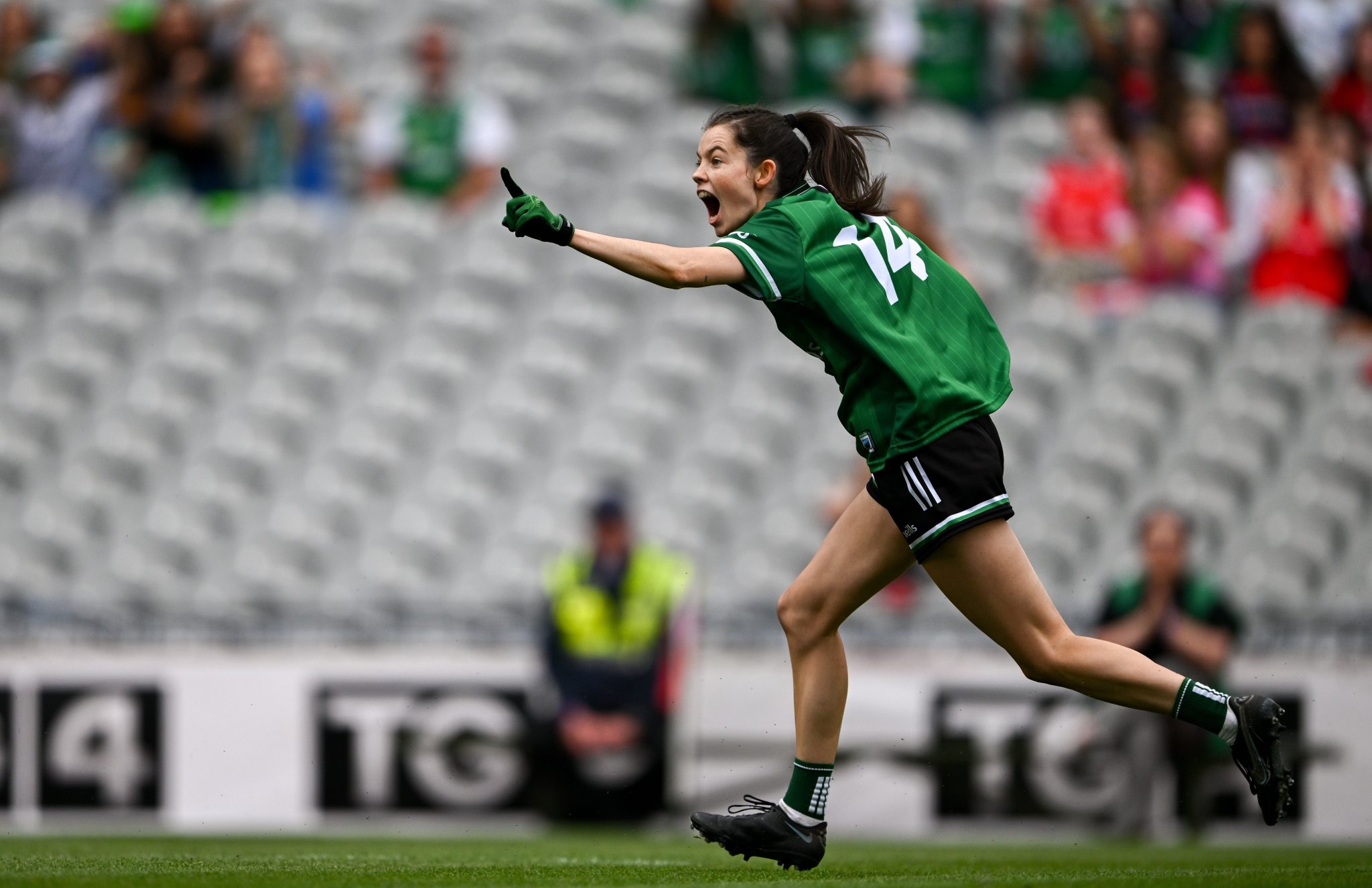 Fermanagh star Smyth tops the scoring charts - Gaelic Life