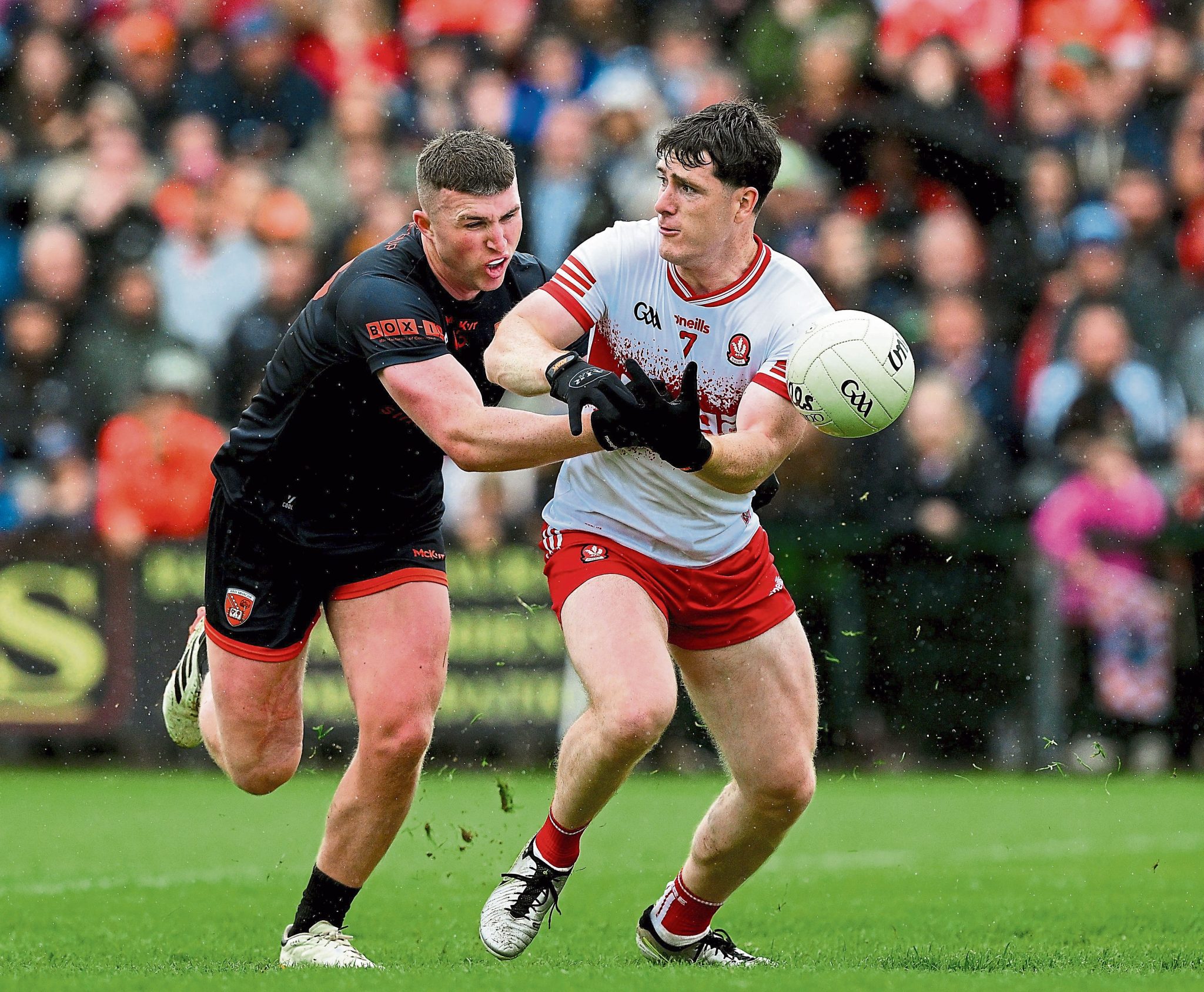 Kelly excited for his first Dublin championship clash - Gaelic Life