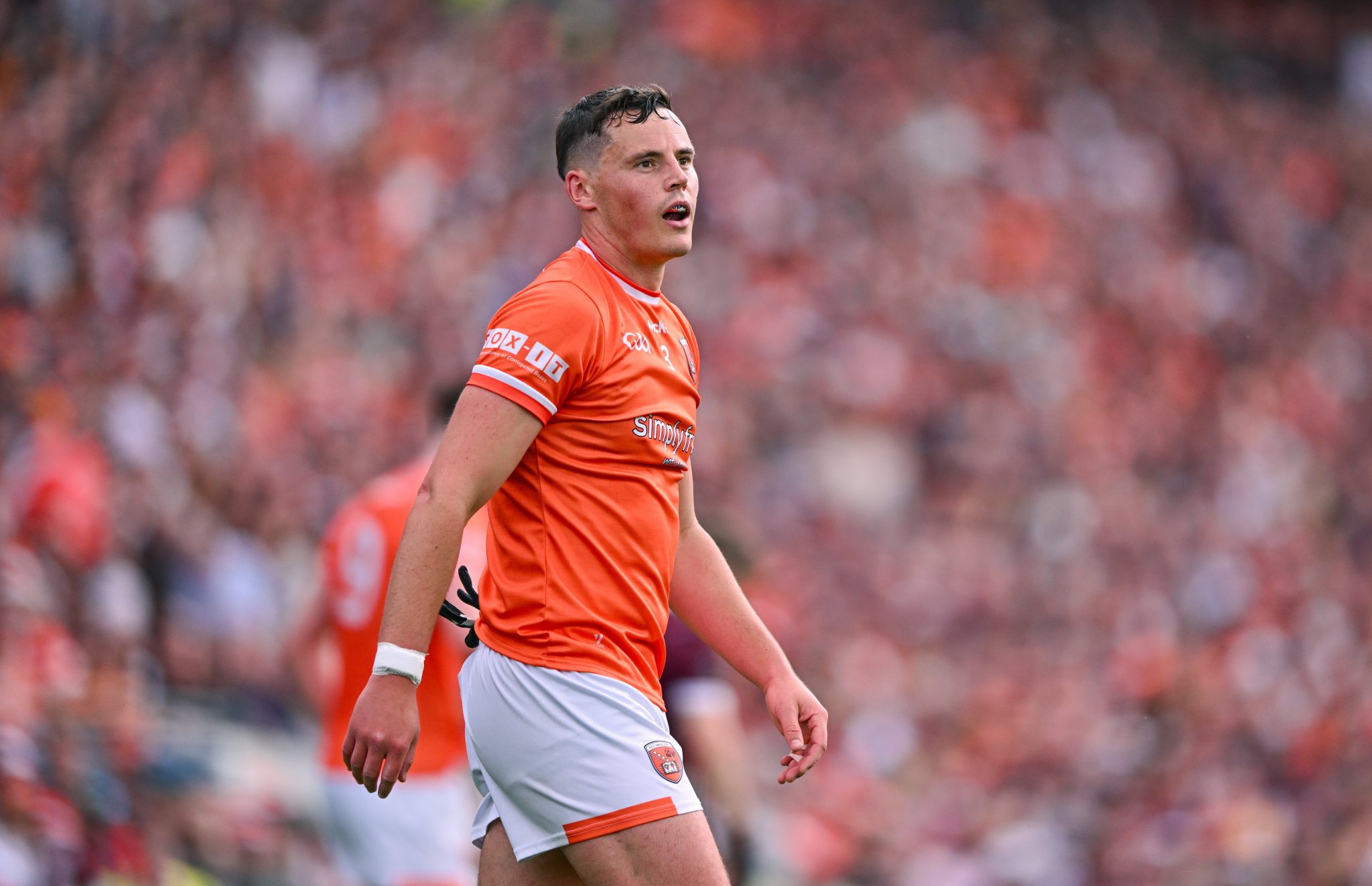 Armagh and Down teams named for midweek clash - Gaelic Life